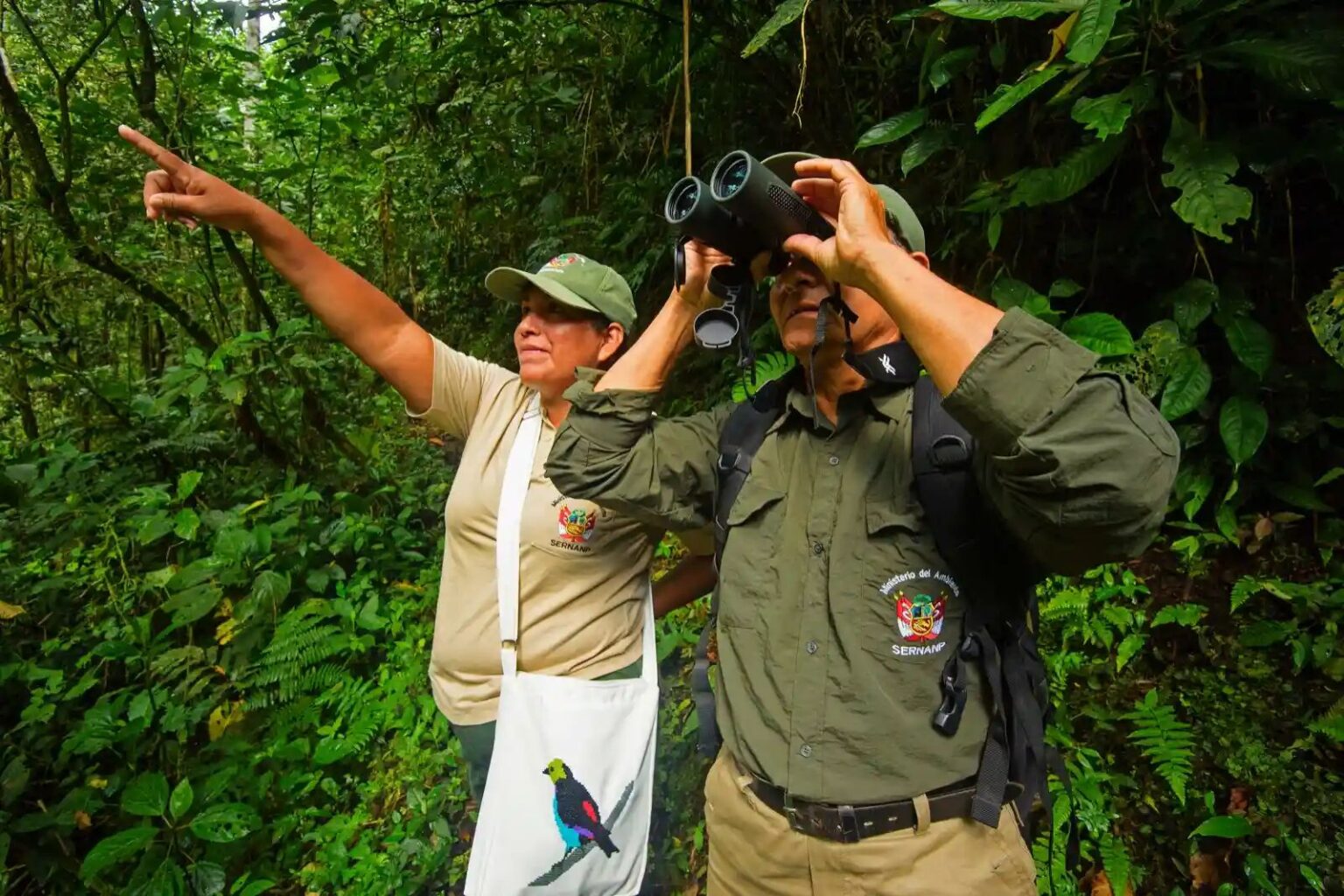 Guardaparques del Perú: Relatos desde las áreas naturales protegidas – Caretas