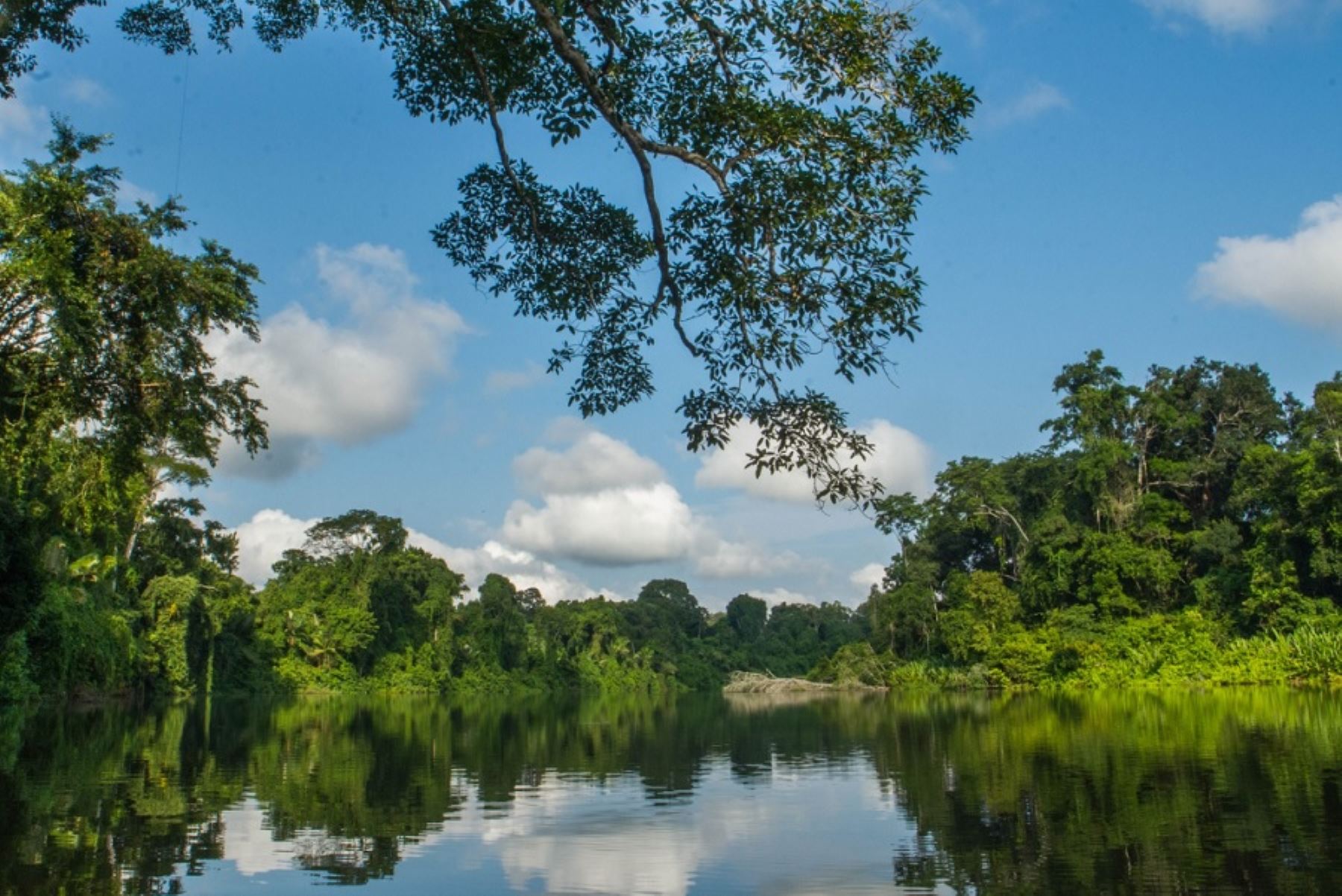 Lanzan Programa Legacy Landscape Funds para contribuir a la ...