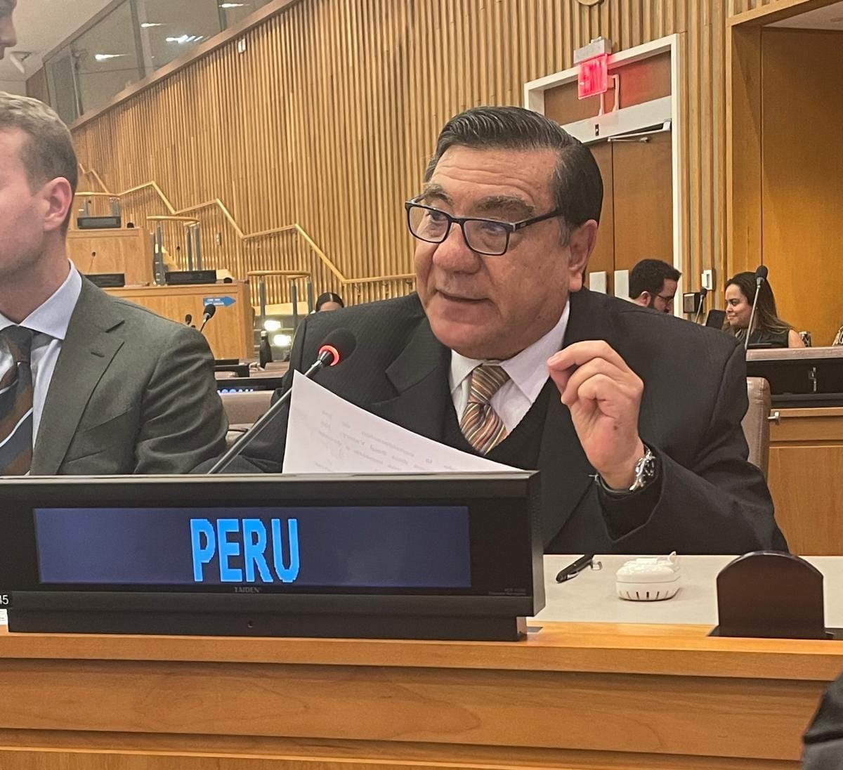 Perú Participó En Sesión Especial Del Comité De La Organización De La