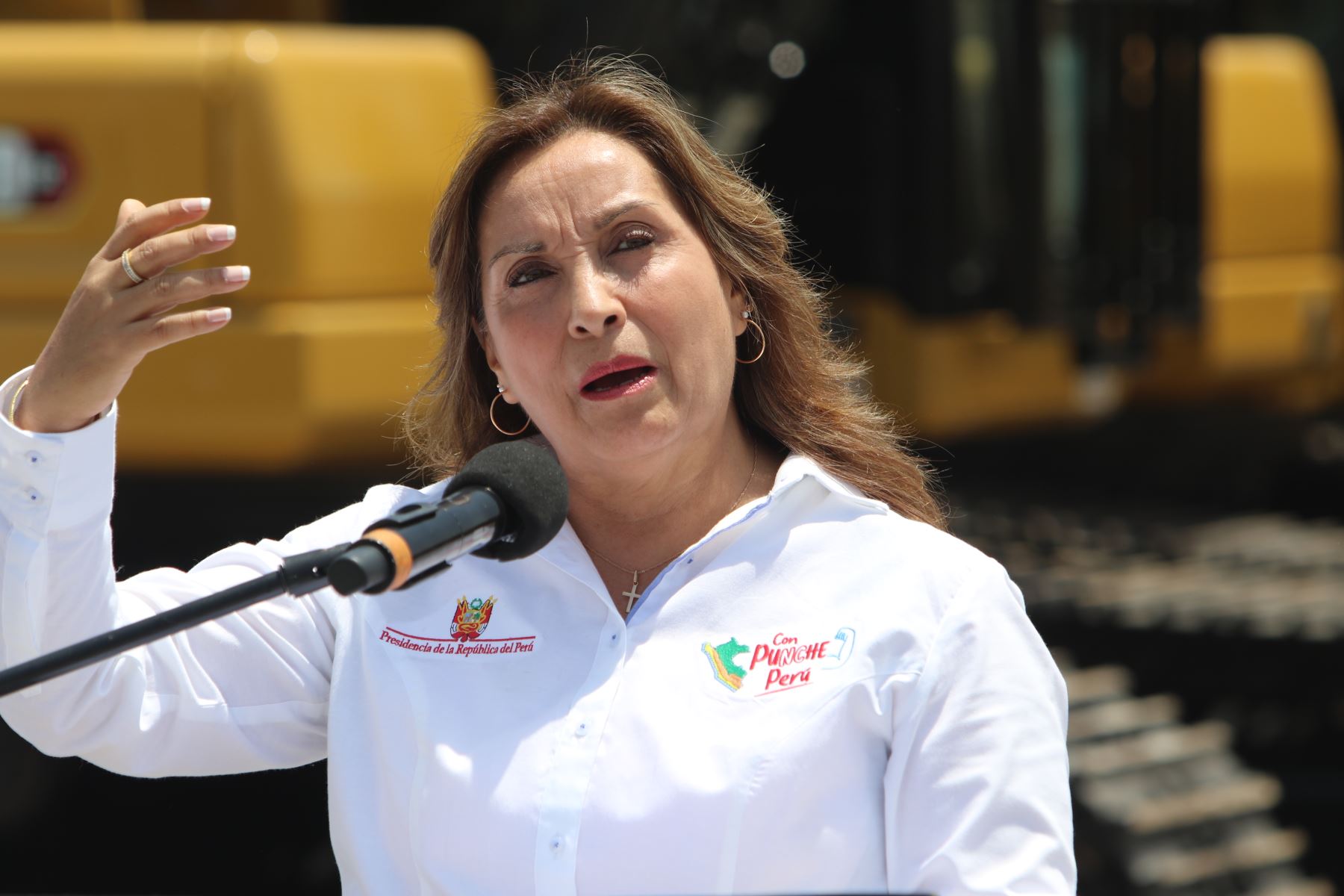 Peritaje concluye que Dina Boluarte no firmó decreto supremo durante ...