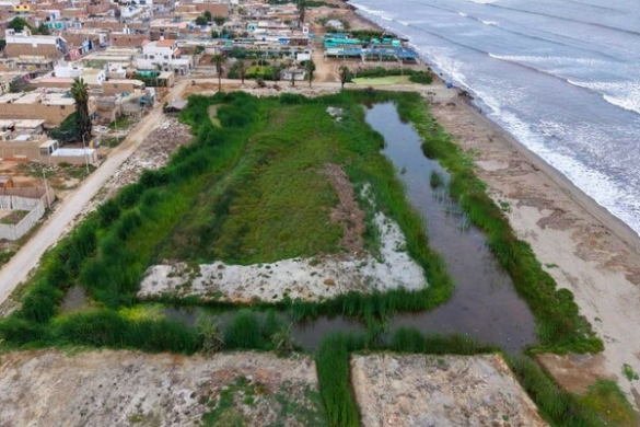 humedales de Pisco Archives - Caretas